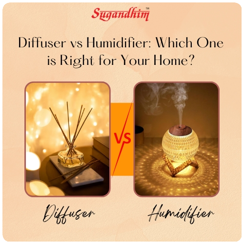 Diffuser vs Humidifier: Which One is Right for Your Home?