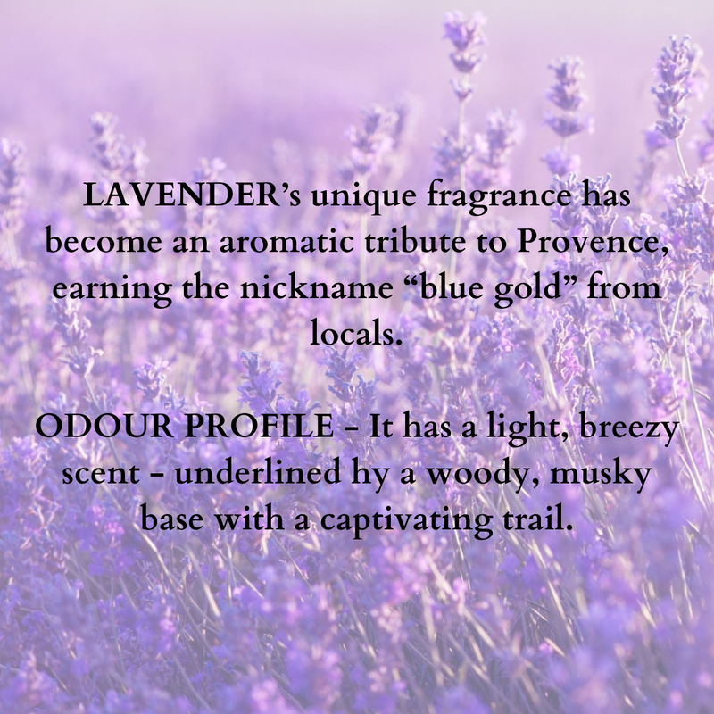 Fragrance Diffuser Lavender - 10ml